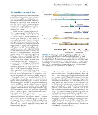 Neurotransmitters and their receptors - Dale Purves et al. (eds ...