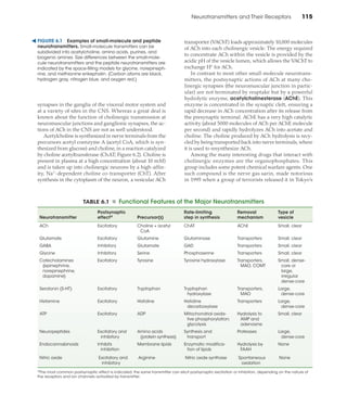 Neurotransmitters and their receptors - Dale Purves et al. (eds ...