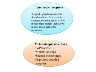 Neurotransmitters and their role | PPT