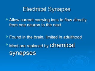 neurotransmittersand_the_synaps ppte.ppt