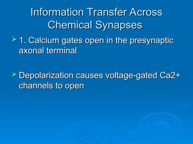 neurotransmittersand_the_synaps ppte.ppt