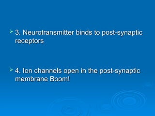 neurotransmittersand_the_synaps ppte.ppt