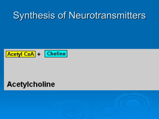 neurotransmittersand_the_synaps ppte.ppt