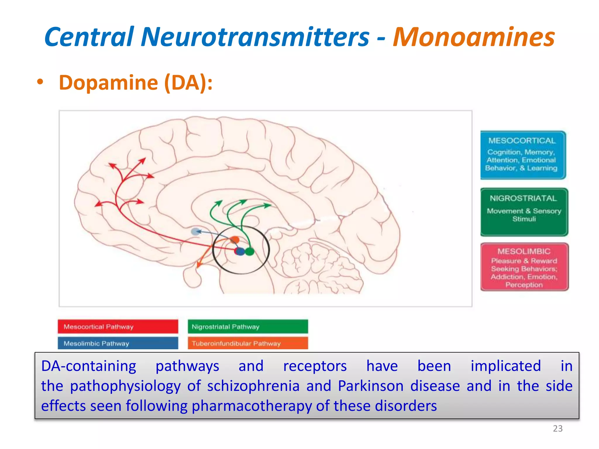 Neurotransmitters in CNS | PPTX