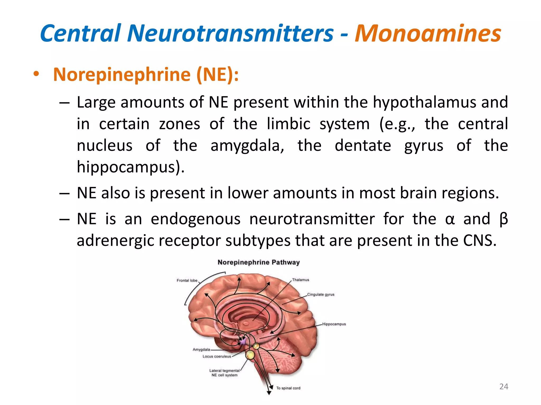 Neurotransmitters in CNS | PPTX