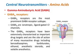 Neurotransmitters in CNS | PPTX