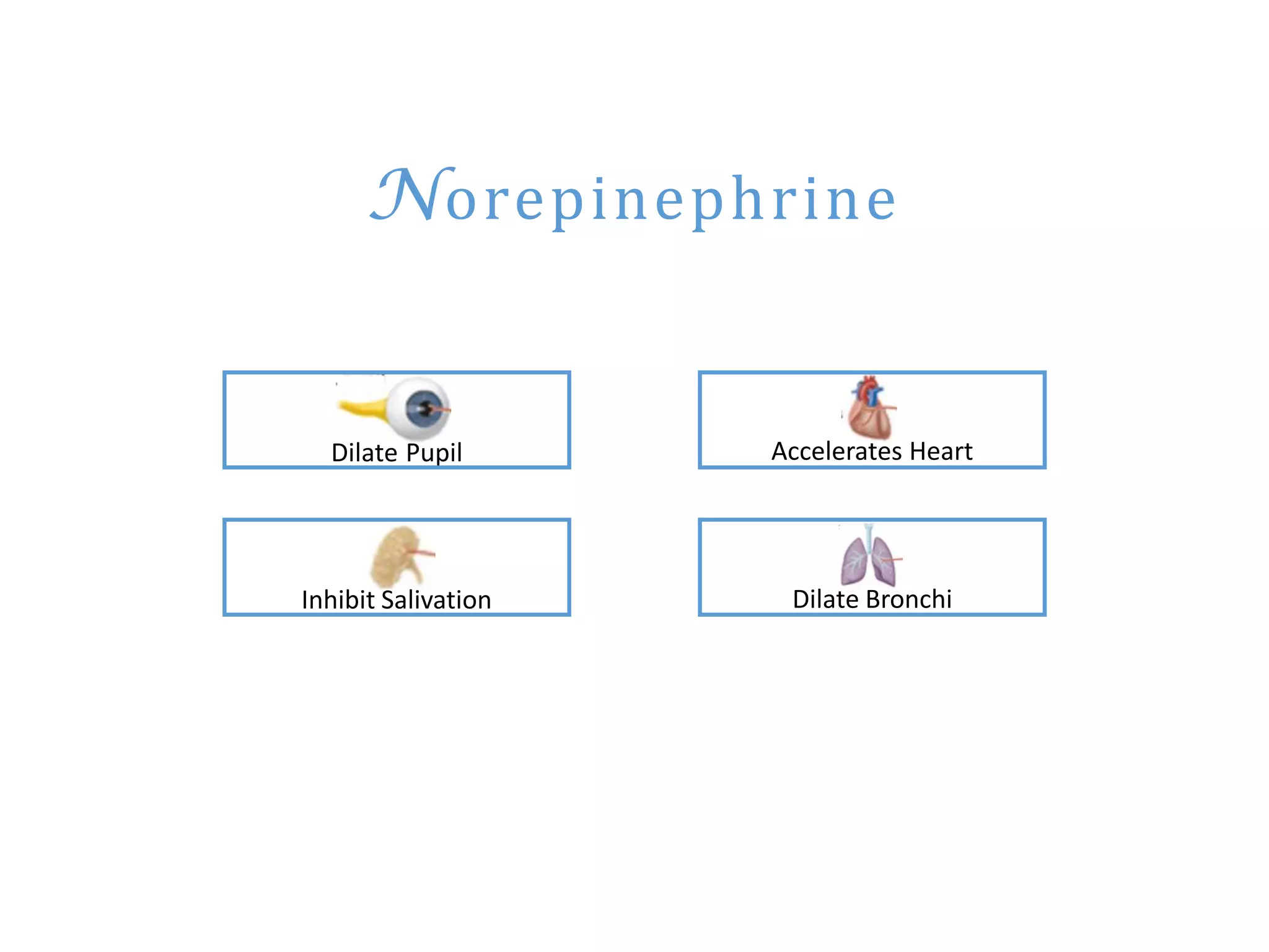 Neurotransmitters of autonomic nervous system | PDF