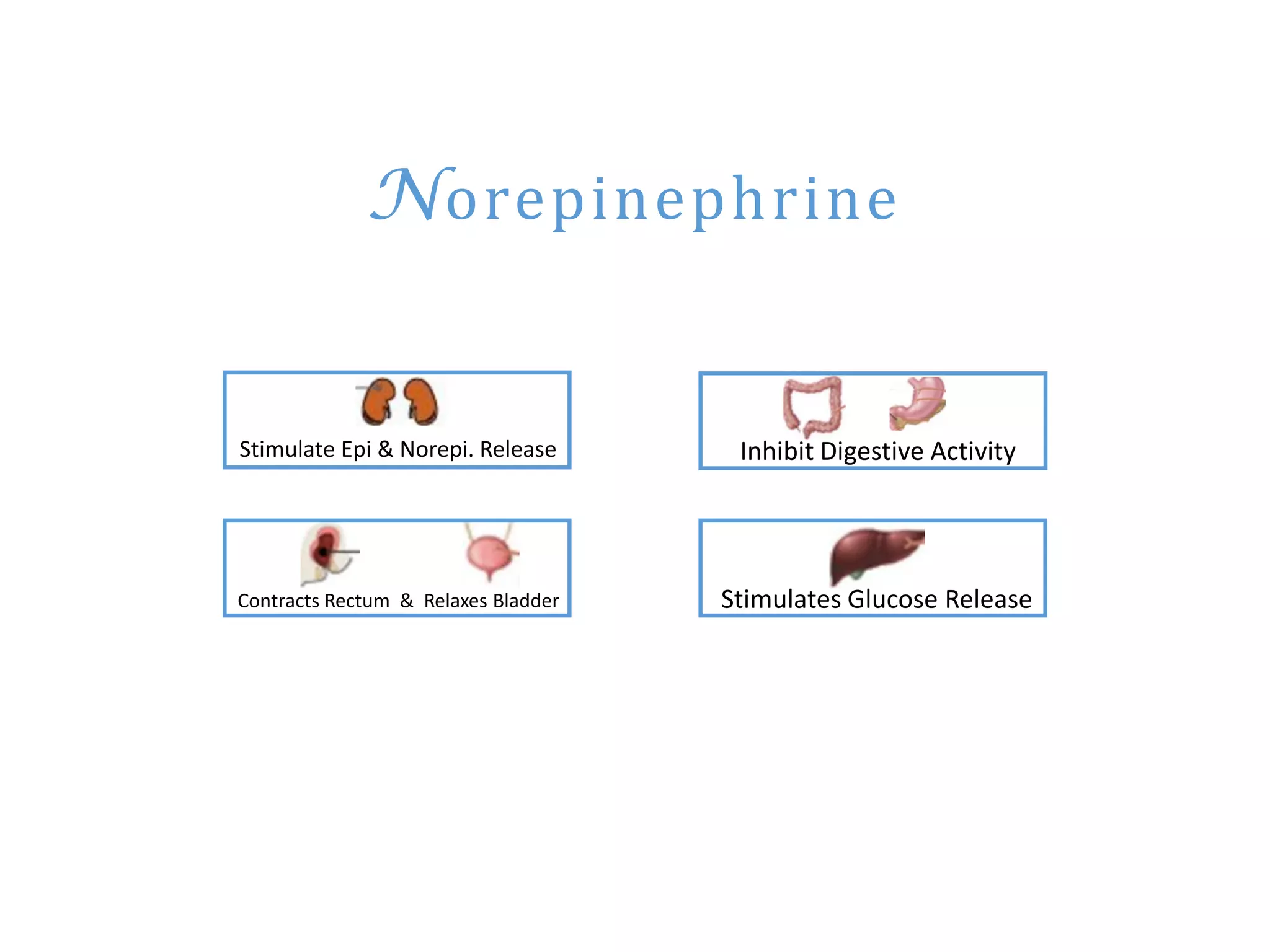 Neurotransmitters of autonomic nervous system | PDF