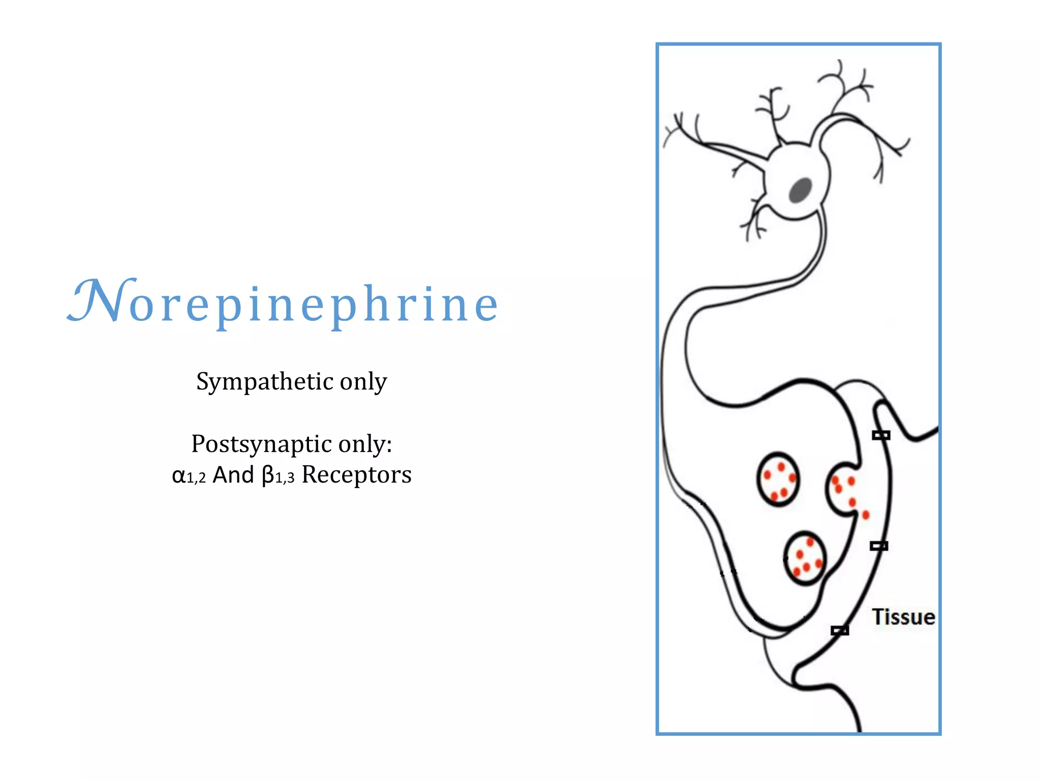 Neurotransmitters of autonomic nervous system | PDF