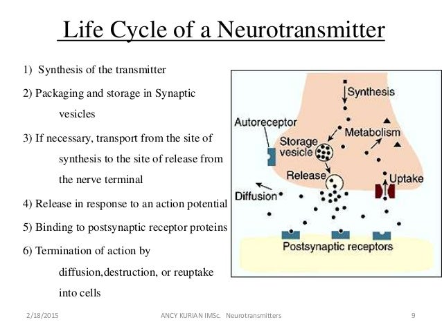 Neurotransmitters