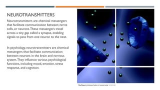 neurotransmitterspptTheories-of-Sensations-and-Perceptions_20250318 ...