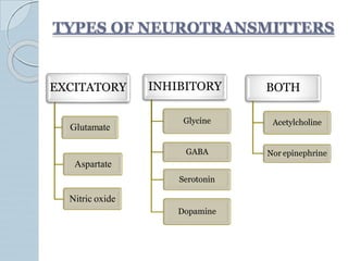 Neurotransmitters | PPTX