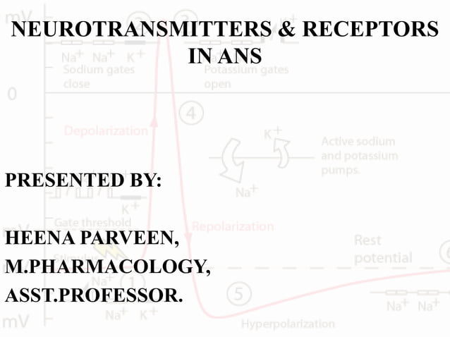 NEUROTRANSMITTERS & RECEPTORS IN ANS | PPTX | Brain and Nervous System Disorders | Diseases and ...