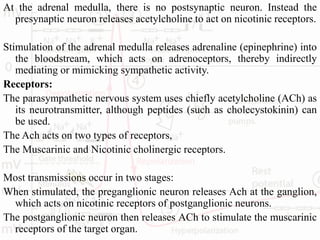 NEUROTRANSMITTERS & RECEPTORS IN ANS | PPTX | Brain and Nervous System ...