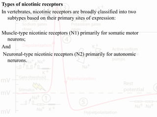 NEUROTRANSMITTERS & RECEPTORS IN ANS | PPTX