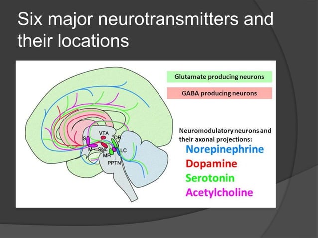 Neurotransmitters | PPTX