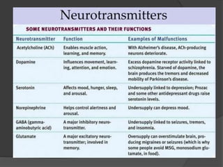 Neurotransmittersandtheirfunctions