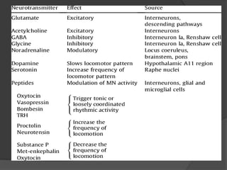 Neurotransmitters And Their Functions Chart