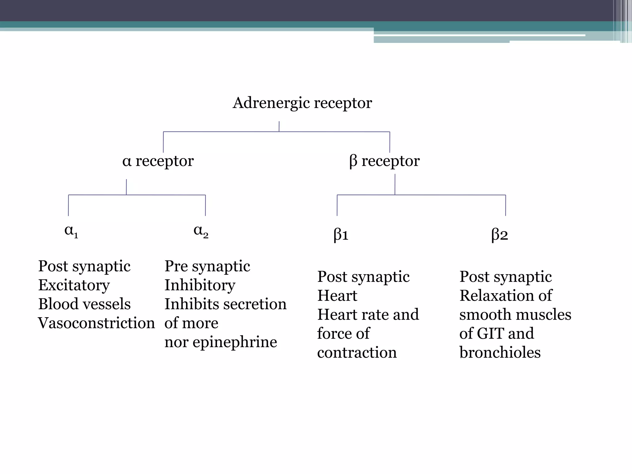 Neurotransmitter systems | PPTX