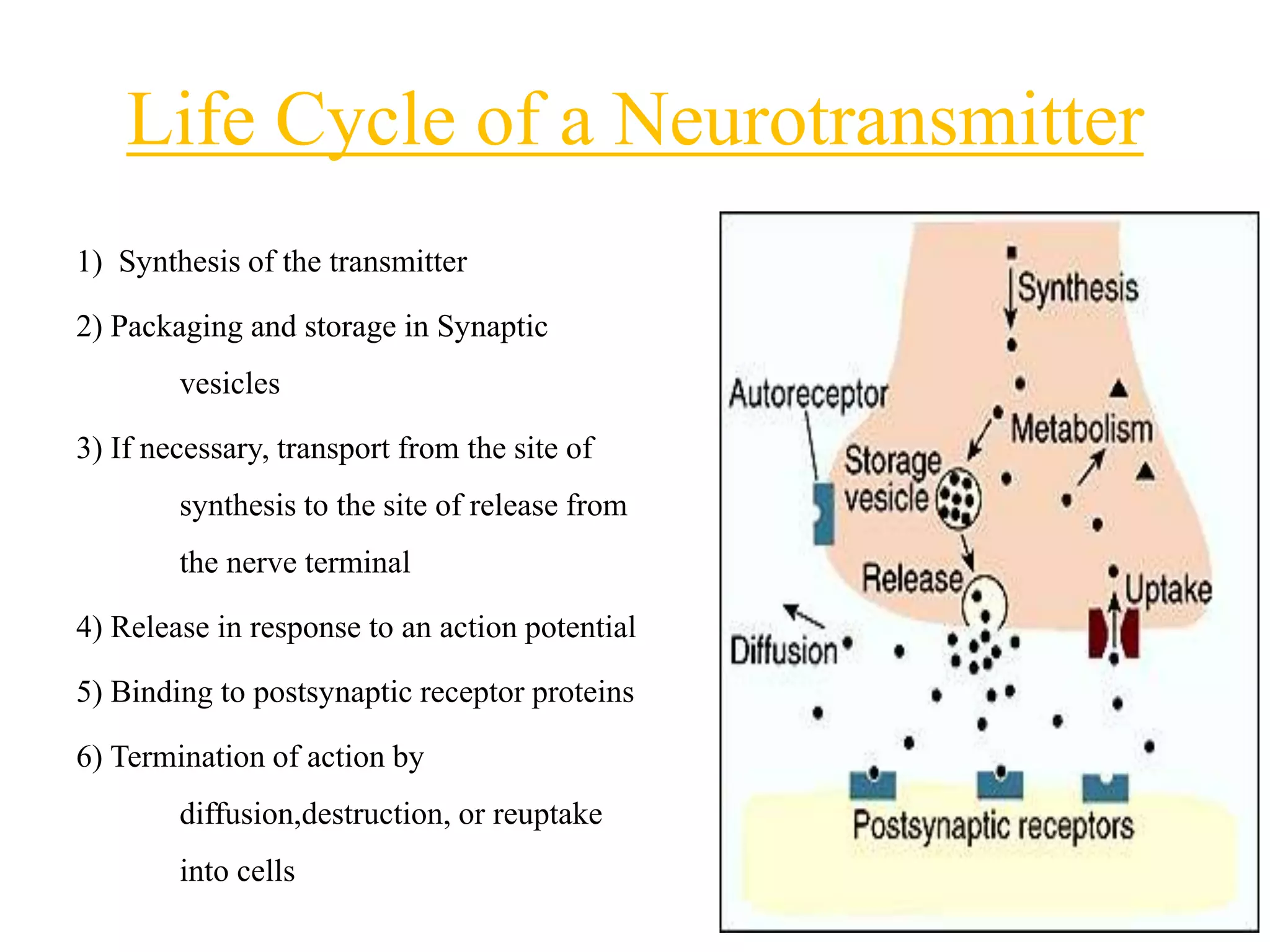 Neurotransmittter and role of dopamine in psychiatry | PPTX
