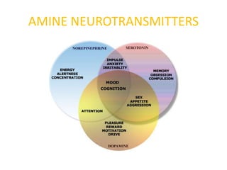 Neurotransmitter Venn Diagram