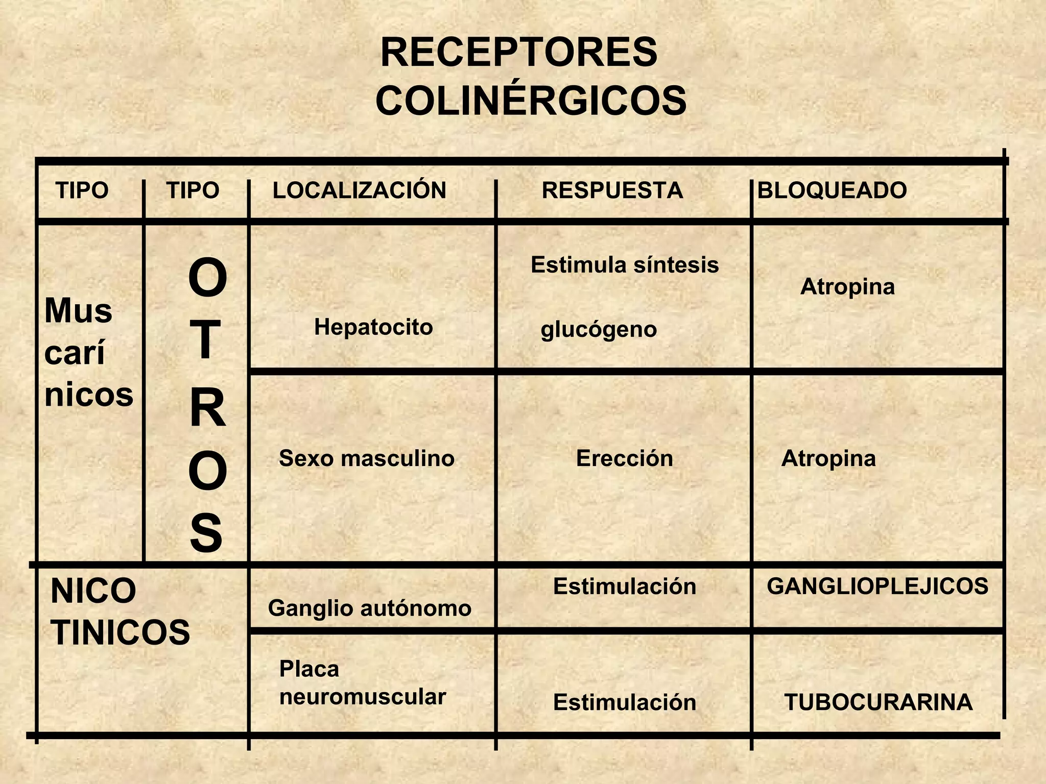 Neurotrasmisores y sistema colinergico | PPT