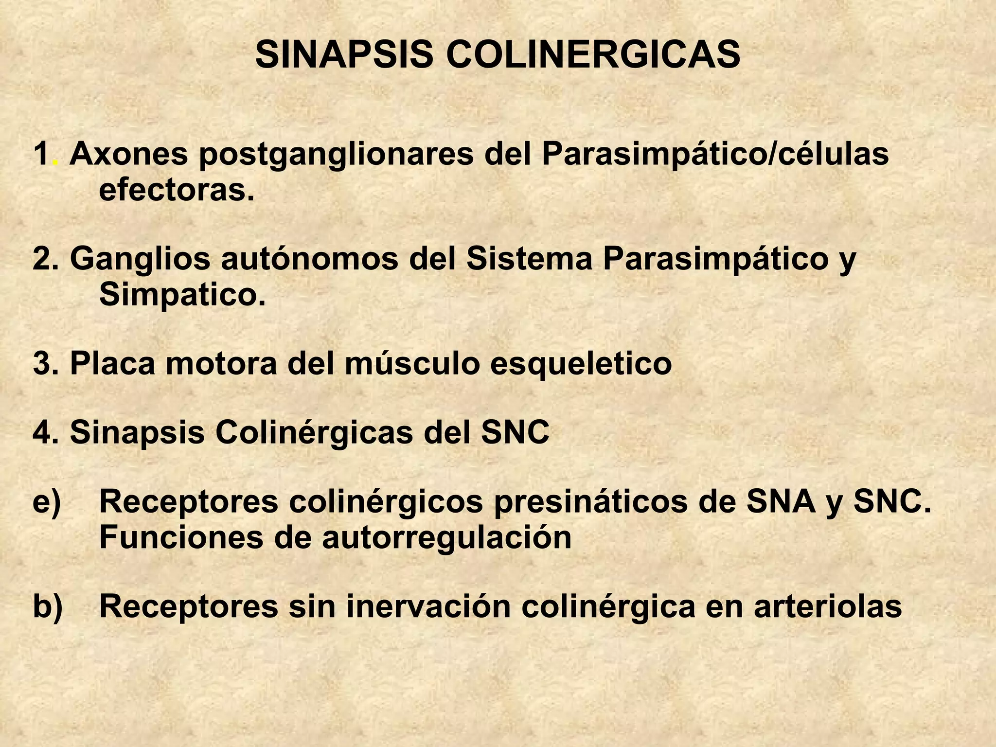 Neurotrasmisores y sistema colinergico | PPT
