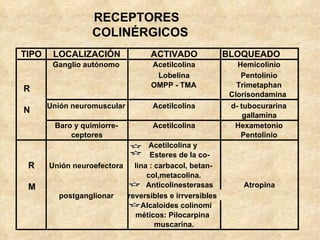 Neurotrasmisores y sistema colinergico | PPT