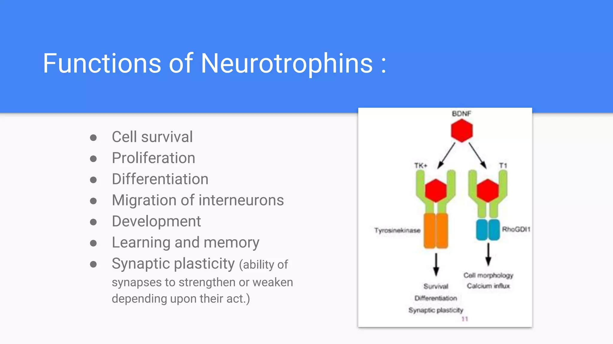 Neurotrophic factors | PPTX