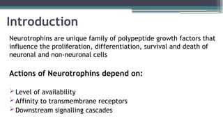 Neurotrophic Factors | PPT
