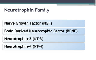 Neurotrophic Factors | PPTX
