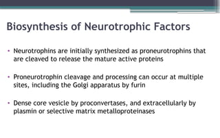 Neurotrophic Factors | PPT