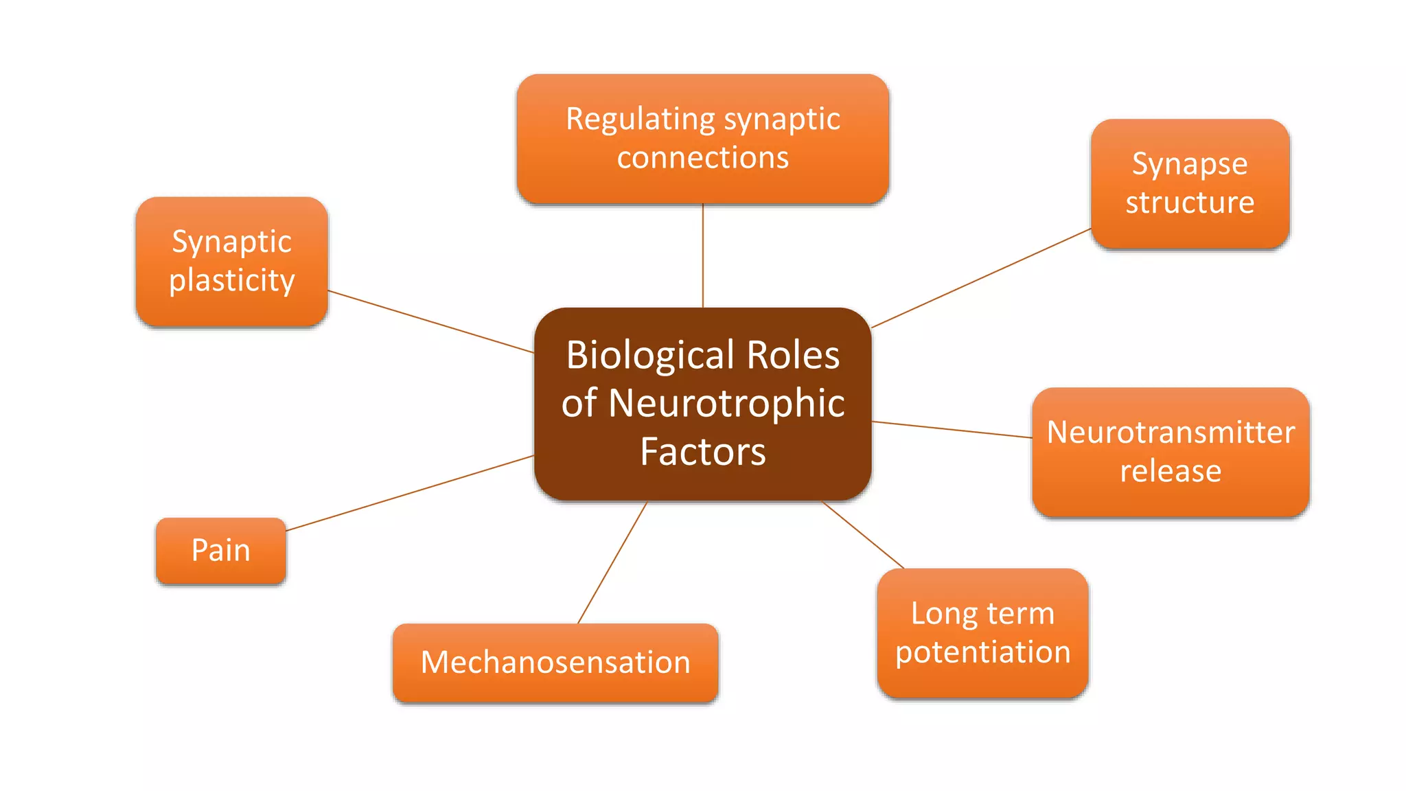 Neurotrophic Factors Presentation.pptx