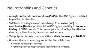 Neurotrophic Factors Presentation.pptx