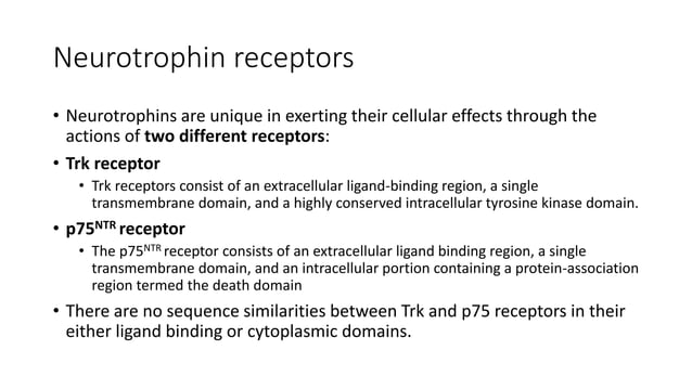 Neurotrophic Factors Presentation.pptx