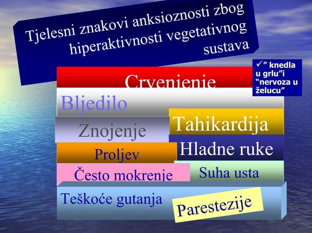 Neurotski poremecaji | PDF