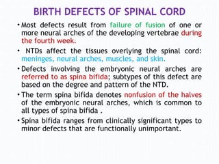 NEUROTUBE DEFECTS SURGERY OF NEUROSURGERY.ppt