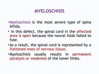 NEUROTUBE DEFECTS SURGERY OF NEUROSURGERY.ppt