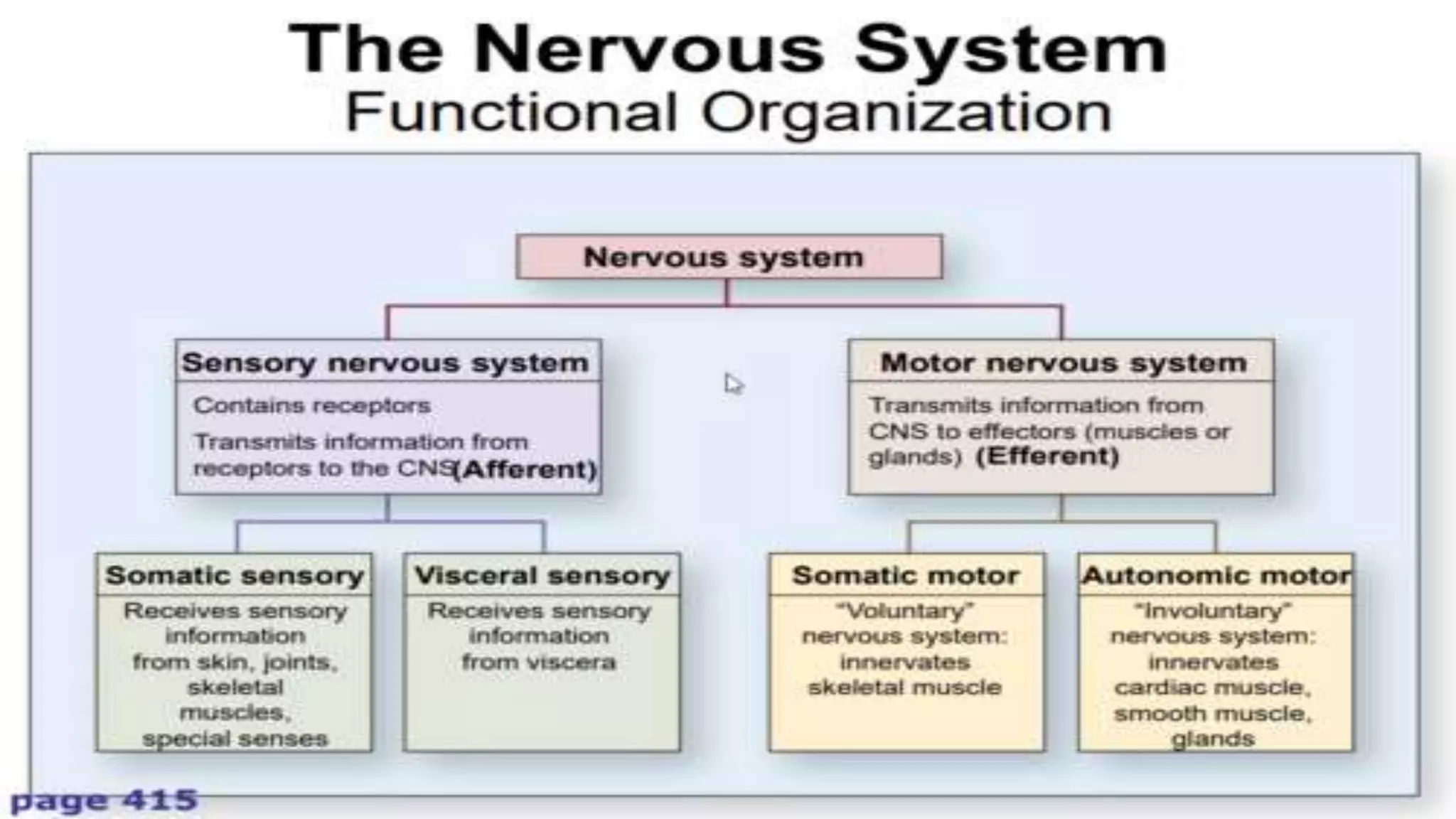 sensory and motor systems | PPTX