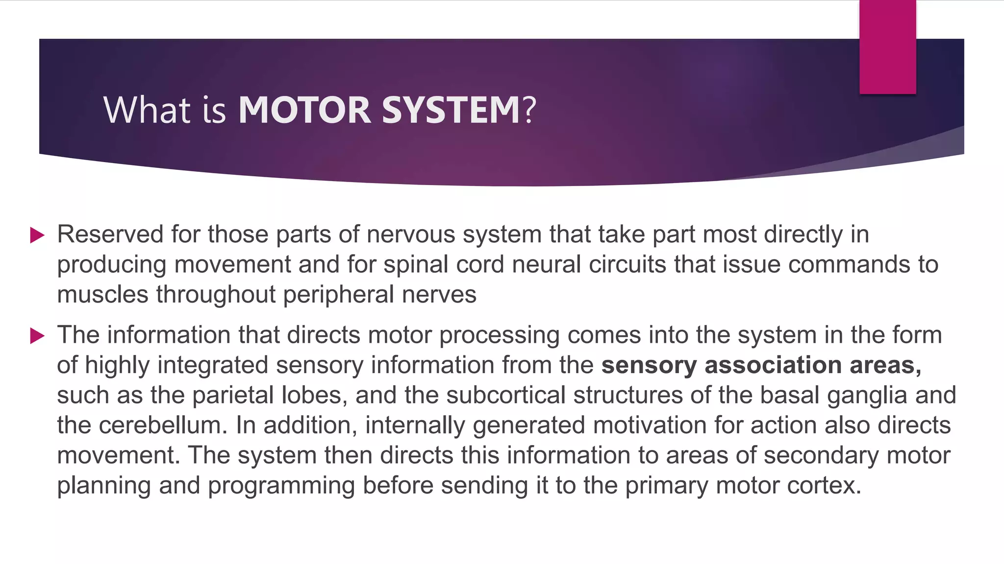 sensory and motor systems | PPTX