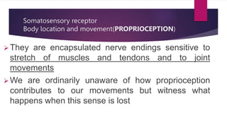 sensory and motor systems | PPTX