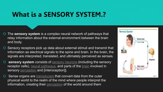sensory and motor systems | PPTX