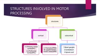 sensory and motor systems | PPTX