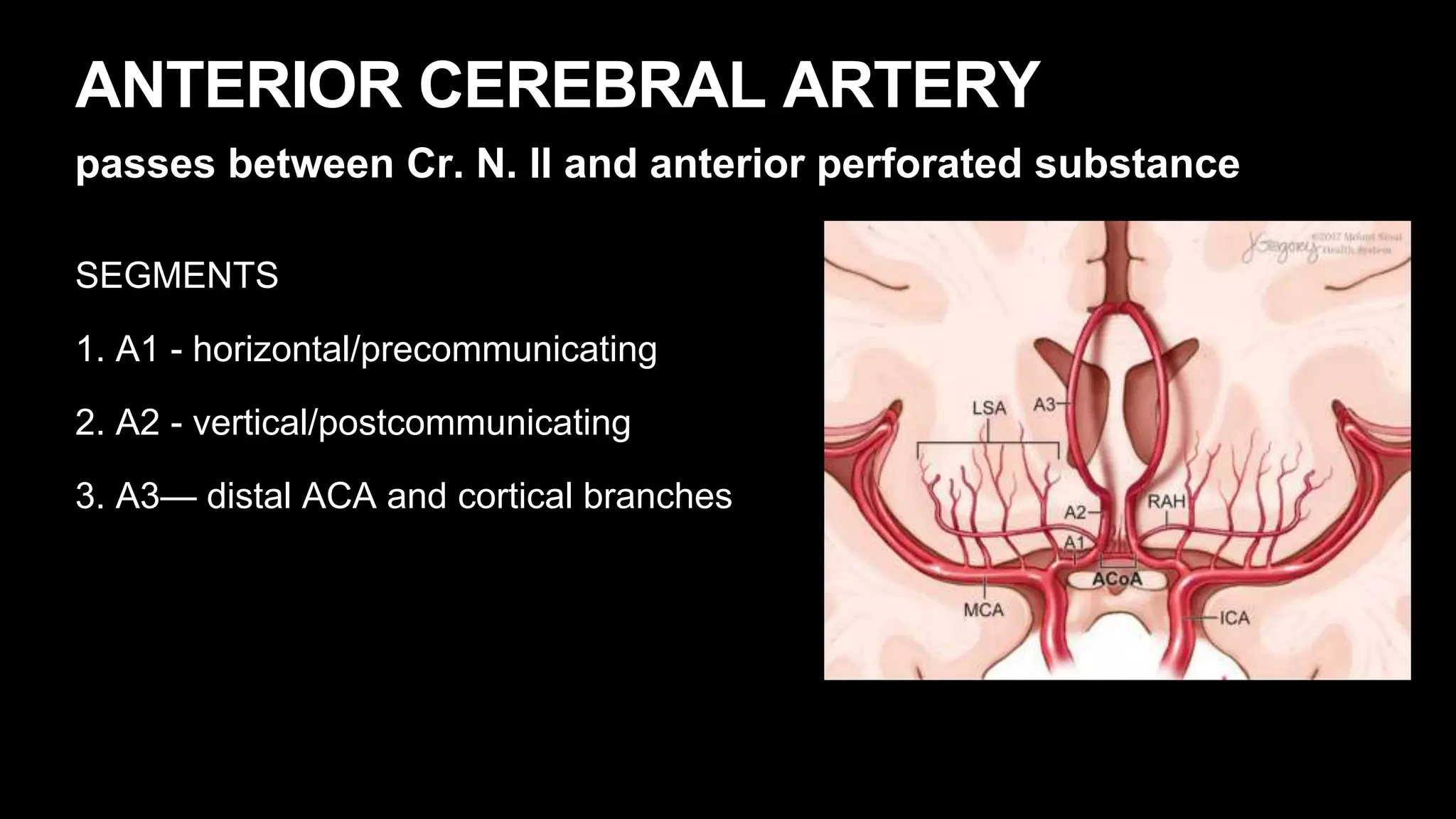 Neurovascular Anatomy.pptx | Brain and Nervous System Disorders ...