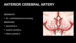 Neurovascular Anatomy.pptx