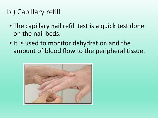 Neurovascular assessment | PPTX | First Aid | Injuries