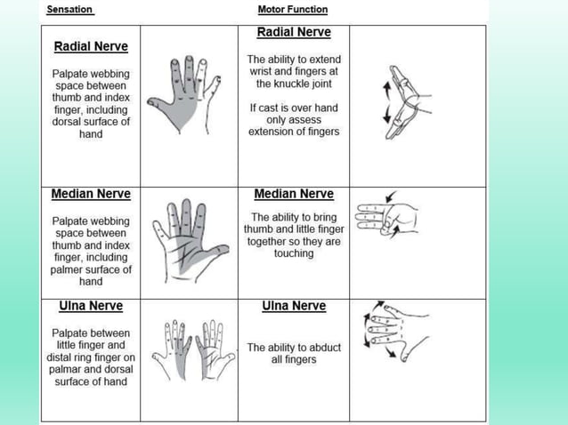 Neurovascular assessment | PPTX | First Aid | Injuries