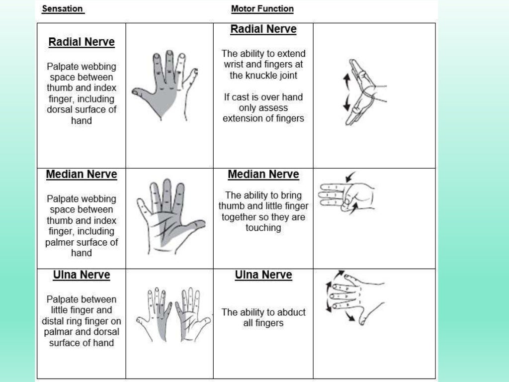 Neurovascular assessment