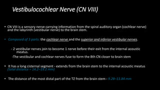 Neurovascular compression syndromes.pptx