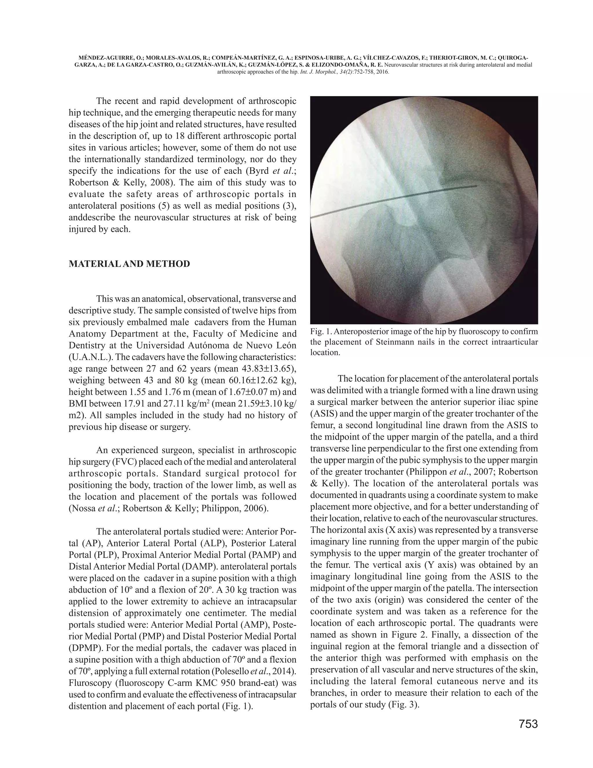 Neurovascular structures at risk during anterolateral and medial ...